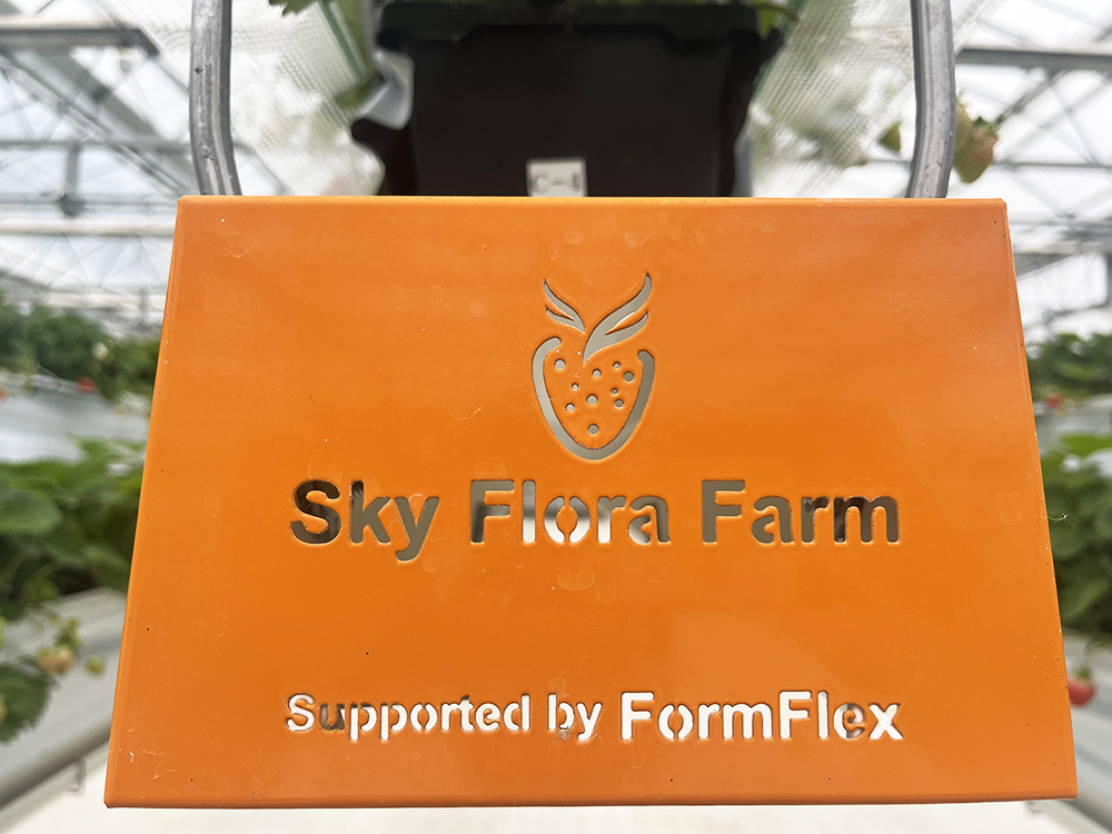 スカイフローラファーム[福岡] | 農園案内 | つぐみのいちご - 完熟いちごのギフト販売